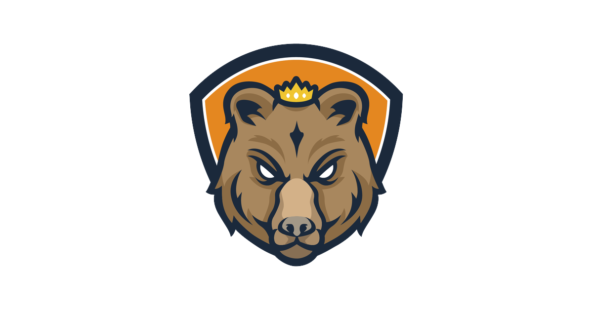 All Blank Apparel – Tagged "Fleece - Premium - Hood"– Bear Transfers